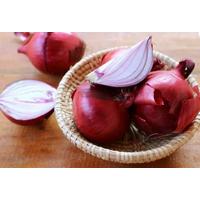 Bawang Merah Kualitas Terbaik & Harga Termurah! Maret 2024