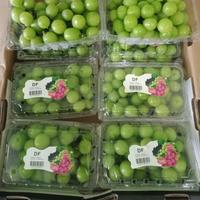 Jual Shine Muscat Terlengkap - Harga Murah April 2024