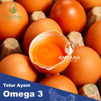 Jual Telur Omega 3 Terlengkap & Terbaik - Harga Murah Desember 2024