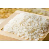 Beras Jepang Harga Termurah & Grosir - Pilihan Terlengkap