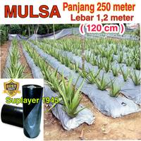 Jual Mulsa Roll Terbaik - Harga Murah Juni 2024 & Cicil 0%