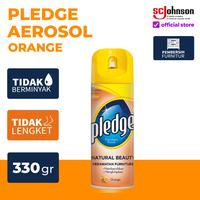 Jual Pledge Murah - Harga Terbaru Juni 2024