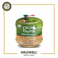 Jual Coco Thumb Terlengkap - Daftar Harga September 2025 & Cicilan 0%