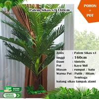 Jual Pohon Artificial Besar Terbaik - Harga Murah April 2025 & Cicil 0%