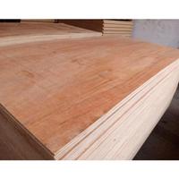 Jual Triplek 8Mm Terbaik - Harga Murah November 2023 & Cicil 0%