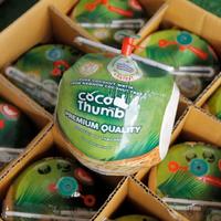 Jual Coco Thumb Terlengkap - Daftar Harga Januari 2024 & Cicilan 0%