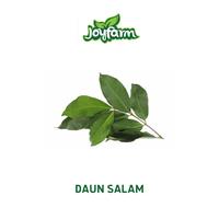 Jual Daun Paprika Terdekat - Harga Murah & Grosir Oktober 2022