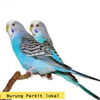 Jual Parkit Lokal Lengkap Harga Murah Juni 2025