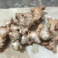 Jual Jahe Segar Terdekat - Harga Murah & Grosir Juni 2024