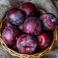 Buah Plum Segar Berkualitas, Harga Termurah! 2024