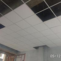 Jual Gyptile Murah - Harga Terbaru Mei 2024