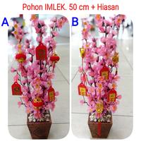 Jual Pohon Angpao Terbaik & Terbaru April 2024 - Harga Murah