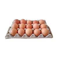 Jual Telor 1kg Murah - Harga Terbaru 2024