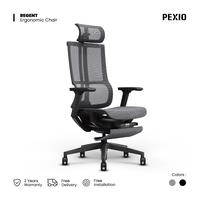 Jual Pexio Regent Murah - Harga Terbaru 2024