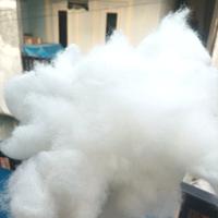 Jual Dakron 1Kg Murah & Terbaik - Harga Terbaru Maret 2024