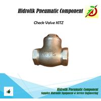 Jual Check Valve Kitz Terbaik - Harga Murah April 2024 & Cicil 0%