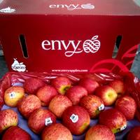 Jual Apel Envy Terdekat - Harga Murah & Grosir Maret 2024