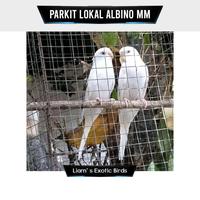Jual Parkit Lokal Lengkap Harga Murah Mei 2024