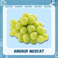 Jual Anggur Shine Muscat Terdekat - Harga Murah & Grosir Februari 2024