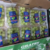Jual Anggur Muscat Terdekat - Harga Murah & Grosir Maret 2024