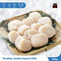 Jual Scallop Terdekat - Harga Murah & Grosir April 2024