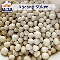 Jual Sukro Terdekat - Harga Murah & Grosir Desember 2024