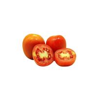 Jual Tomat Ranti Terdekat - Harga Murah & Grosir Mei 2024