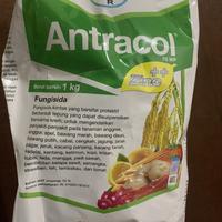 Jual Antracol 1 Kg Murah - Harga Terbaru 2024