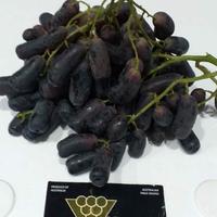 Jual Anggur Sapphire Terdekat - Harga Murah & Grosir Juni 2024