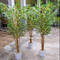 Jual Bambu Batangan Terbaik - Harga Murah Mei 2024 & Cicil 0%
