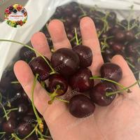 Jual Buah Cherry Segar Terdekat - Harga Murah & Grosir Desember 2024