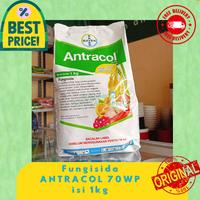 Jual Antracol 1 Kg Murah - Harga Terbaru 2025