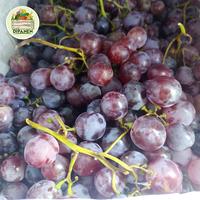 Jual Anggur Red Globe Terdekat - Harga Murah & Grosir Februari 2024