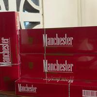 Jual Manchester Red Terbaik - Harga Murah Mei 2024 & Cicil 0%