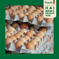 Jual Krat Telur Terdekat - Harga Murah & Grosir April 2024