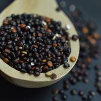Quinoa Harga Termurah - Pilihan Favorit
