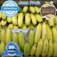 Jual Pisang Sunpride Terdekat - Harga Murah & Grosir Maret 2025