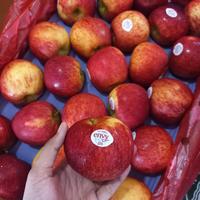 Jual Apel Envy Terdekat - Harga Murah & Grosir April 2024