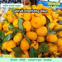 Jual Jeruk Shantang Terdekat - Harga Murah & Grosir Juli 2025