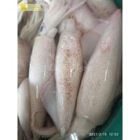 Jual Cumi Segar 1 Kg Terdekat - Harga Murah & Grosir Februari 2025