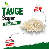 Jual Tauge Terdekat - Harga Murah & Grosir Februari 2025