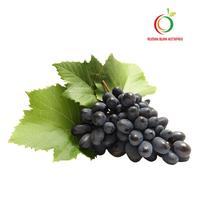 Jual Anggur Autumn Terdekat - Harga Murah & Grosir Juni 2024