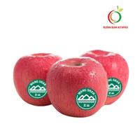 Apel Fuji Harga Termurah - Pilihan Favorit