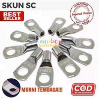 Jual Skun 95 Terbaik - Harga Murah Juni 2024 & Cicil 0%