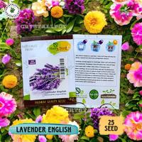 Jual Bibit Lavender Terbaik - Harga Murah April 2024 & Cicil 0%
