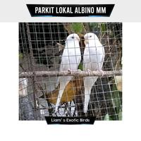 Jual Parkit Lokal Lengkap Harga Murah Mei 2024