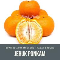 Jual Jeruk Ponkam Terdekat - Harga Murah & Grosir Maret 2024