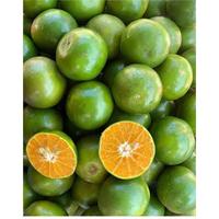 Jual Jeruk 1kg Murah - Harga Terbaru 2024