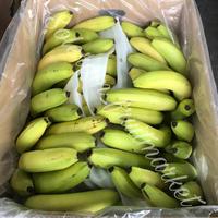 Jual Pisang Sunpride Terdekat - Harga Murah & Grosir Maret 2025