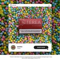 Jual Terea Iqos Juni 2024 Harga Termurah - Cicil 0% 3x di Tokopedia